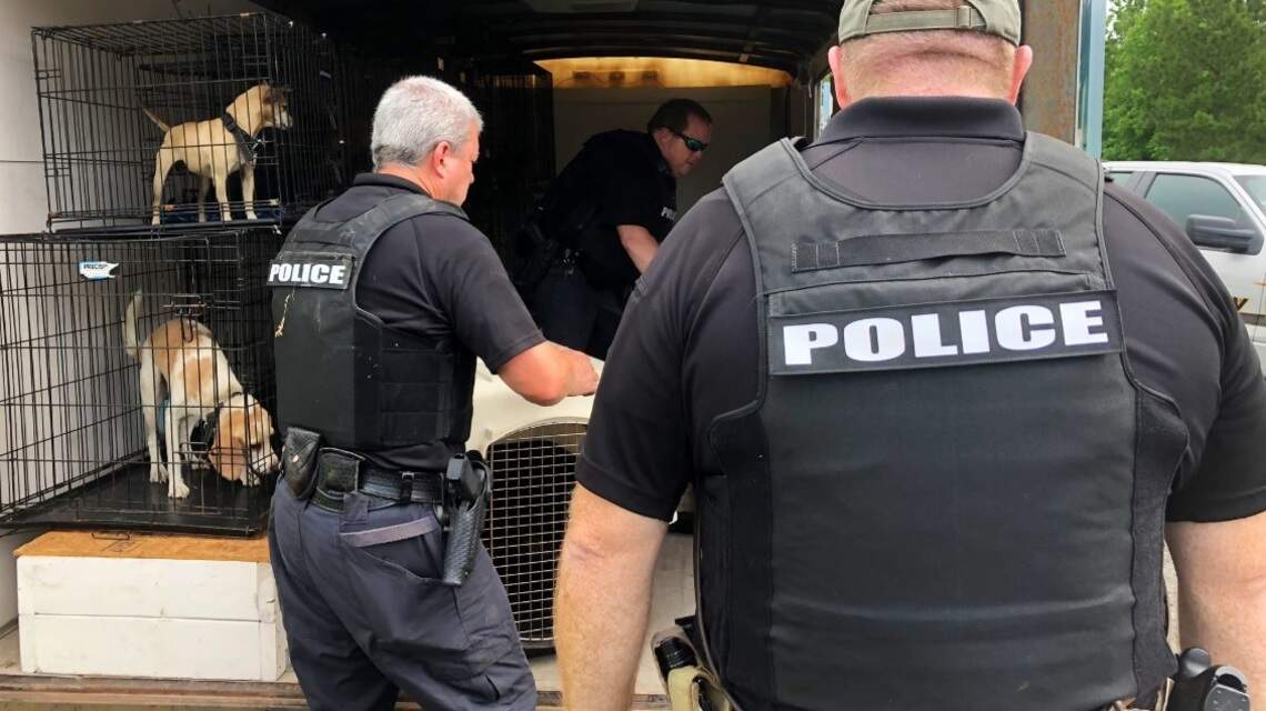 Horry police seize sick dogs, drugs from Loris area home | Myrtle Beach ...