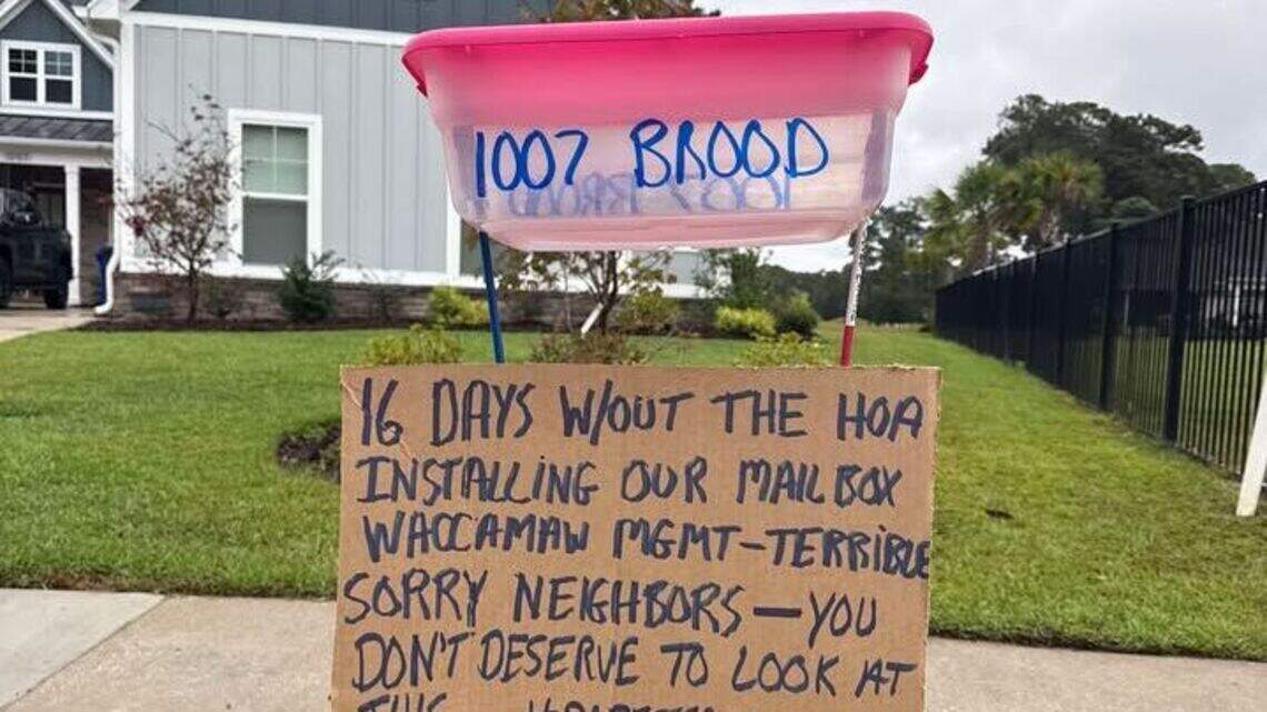 SC couple installs plastic tub after HOA won’t give mailbox | Myrtle ...