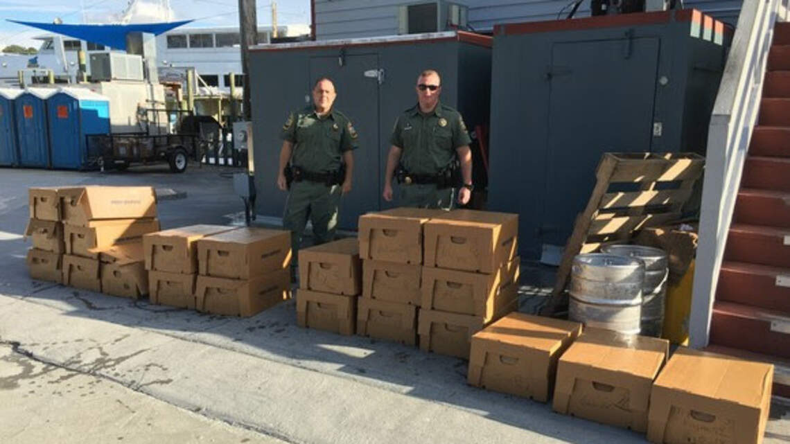 More than 1,000 pounds of fish seized in Little River | Myrtle Beach ...