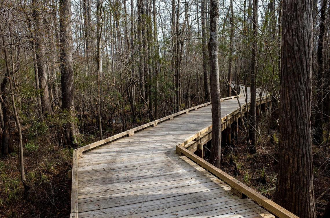 A guide to finding a nature walks near Myrtle Beach, S.C. | Myrtle ...