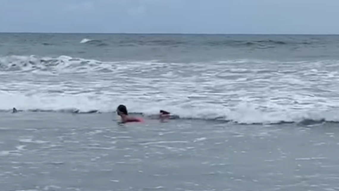 Baby shark caught on video near swimmer in North Myrtle Beach | Myrtle ...